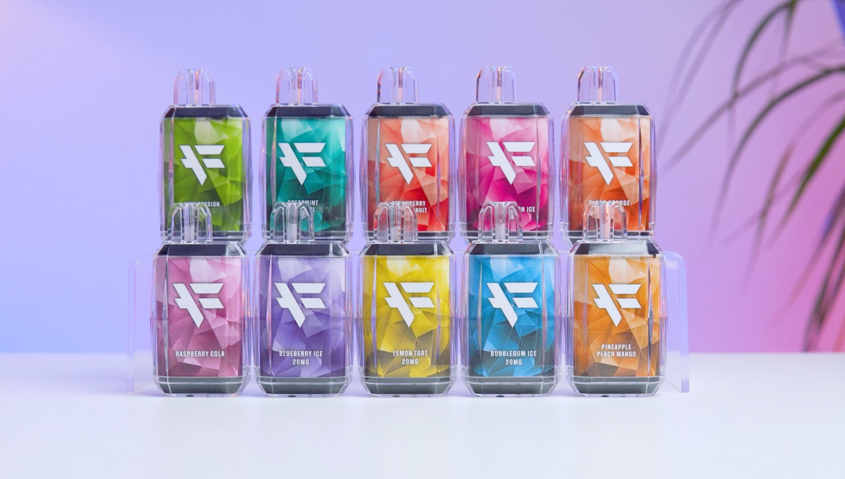 Mist Review On Dinnerlady's Fuyl Range of Disposables – Dinner Lady